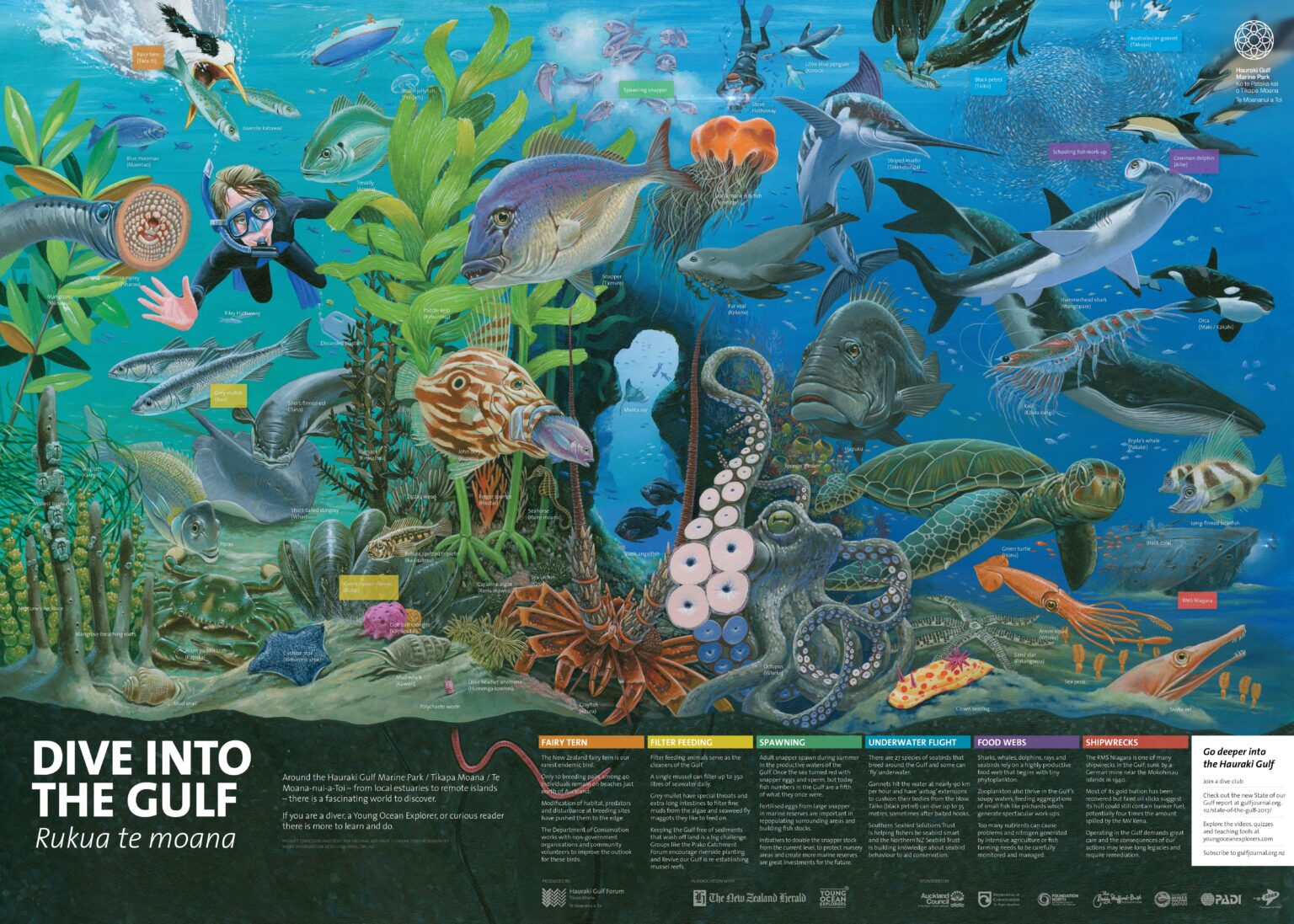Posters | Hauraki Gulf Forum Posters