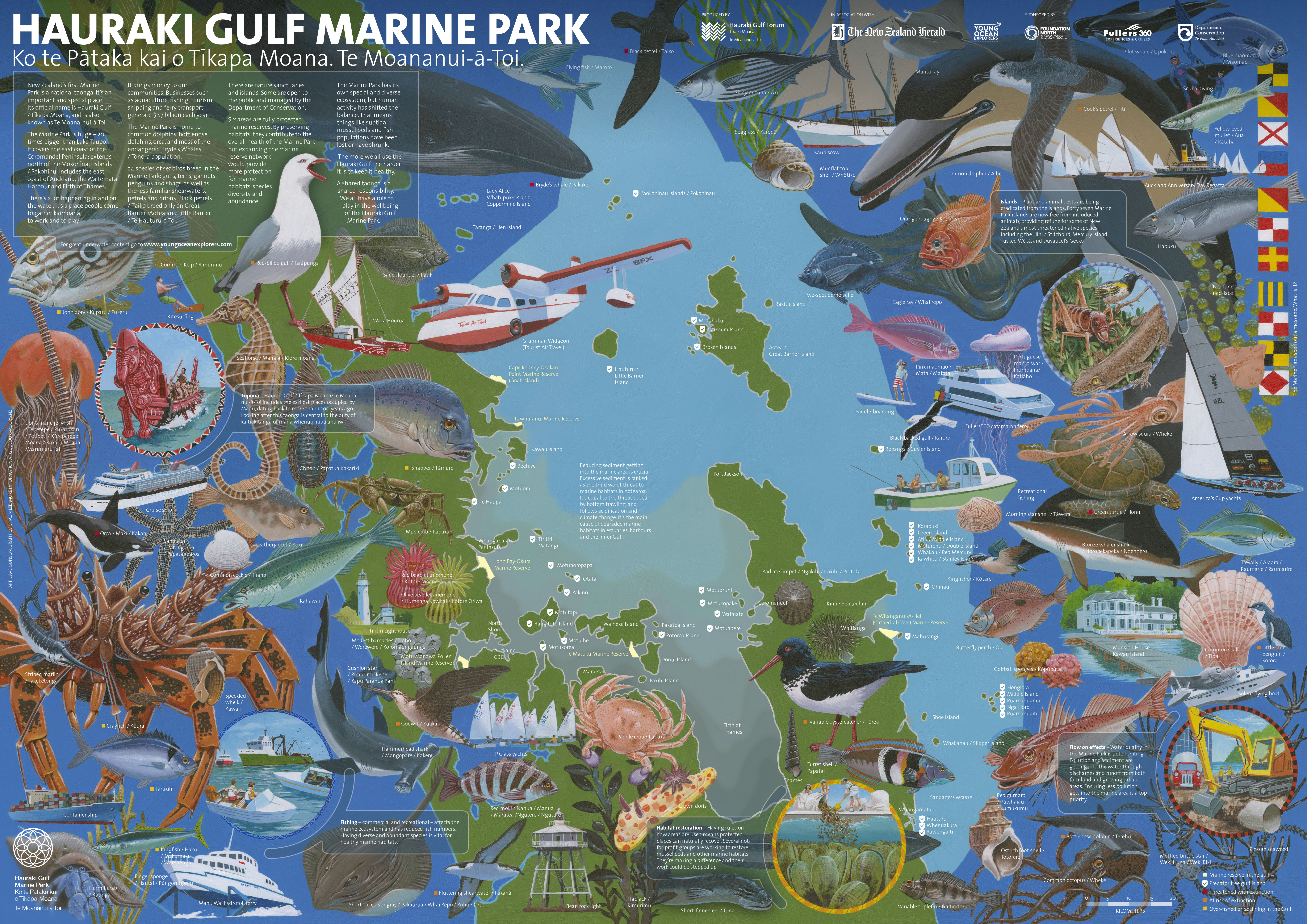 Hauraki Gulf Marine Park Hauraki Gulf Marine Park