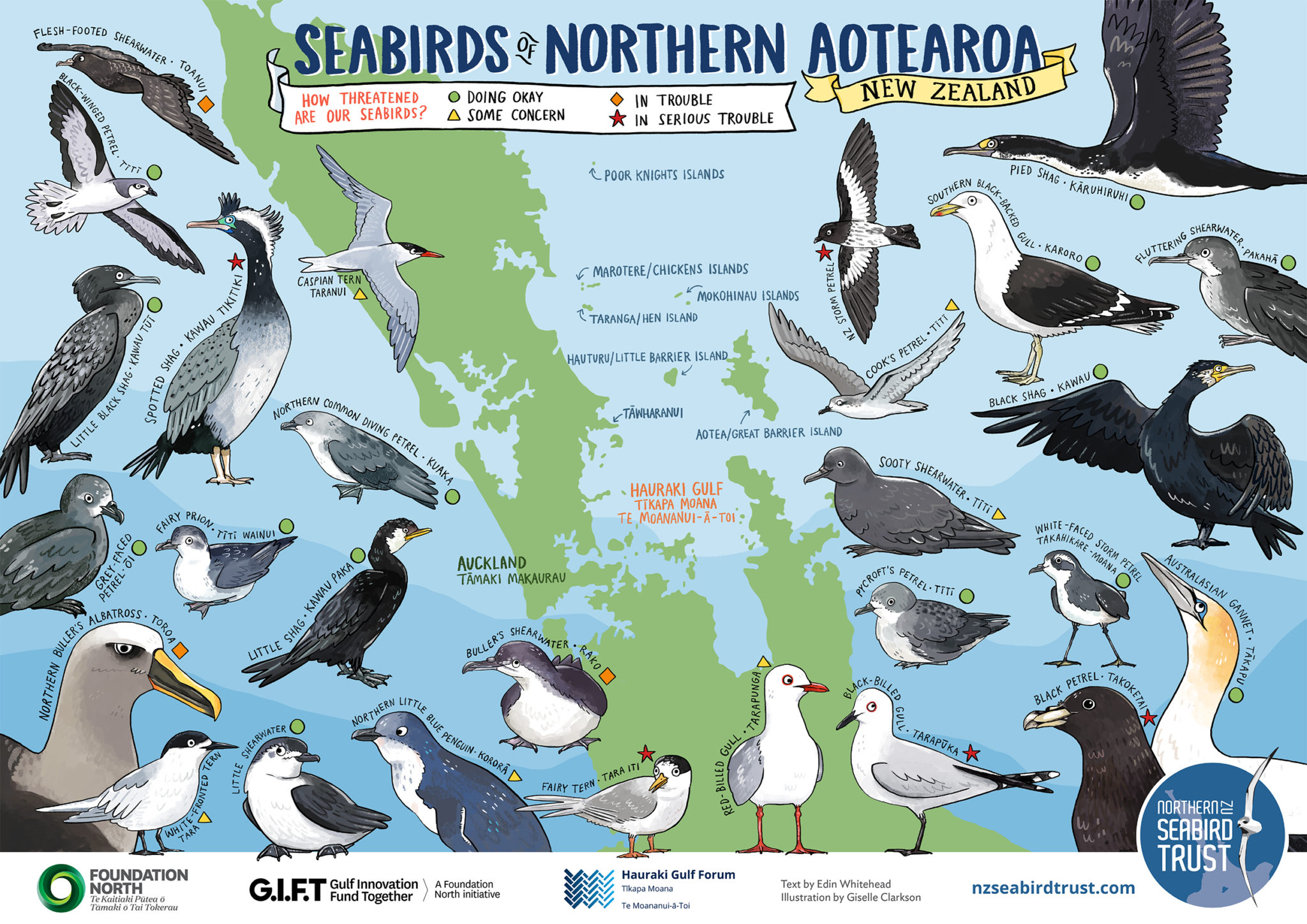 Posters | Hauraki Gulf Forum Posters